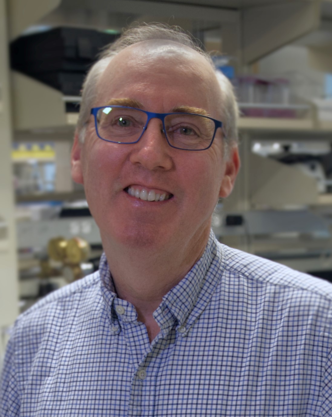 Home-afterworkshopbeforeopen-2025 - BigCARE